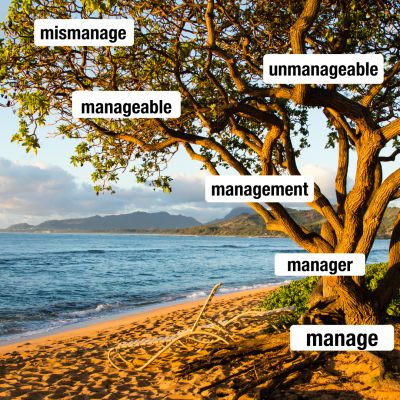 A família do verbo Manage - English for Life