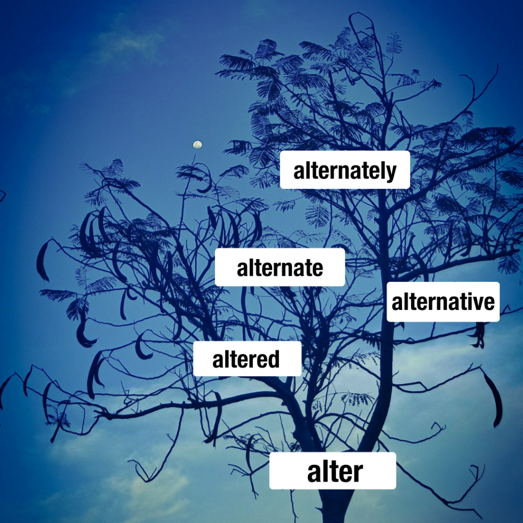 A família do verbo Alter - English for Life - Ana Calha