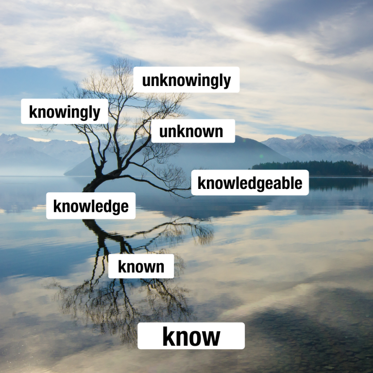 A família do verbo Know - English for Life - Ana Calha